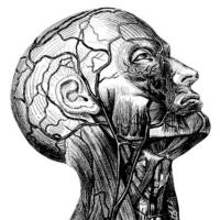 Transmissions from the Northern Outpost